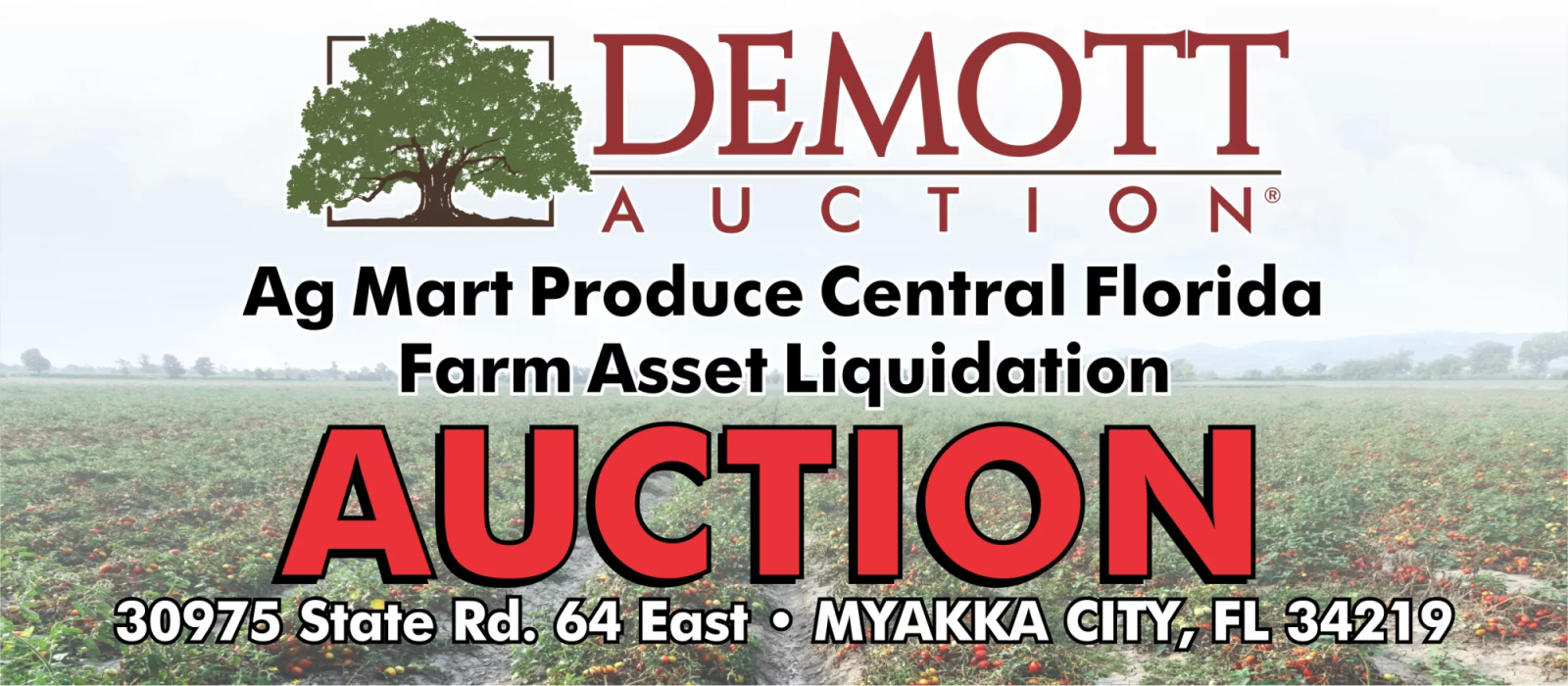 Ag Mart Produce Central Florida Farm Asset Liquidation Auction ...