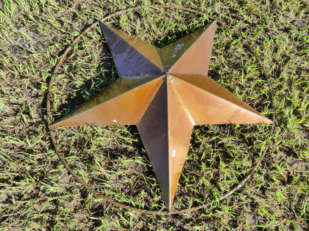 #2189 - Metal Star | DeMott Auction