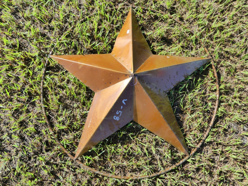 #2189 - Metal Star | DeMott Auction