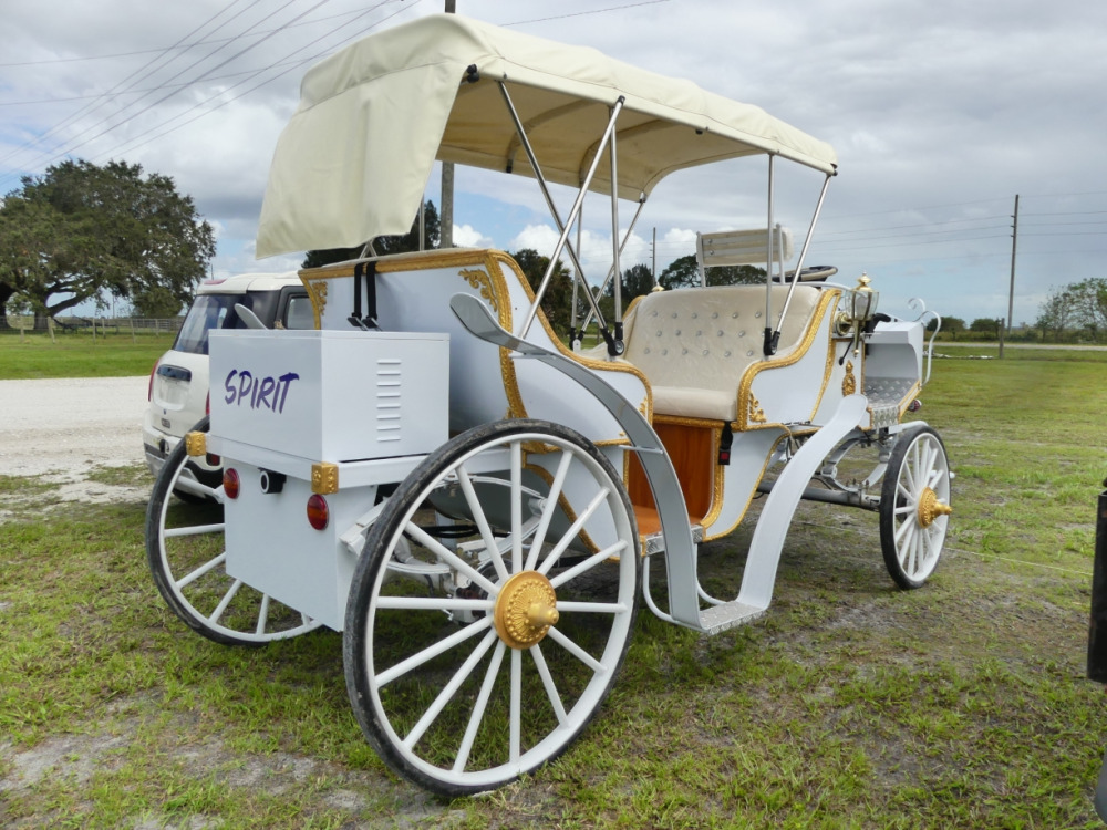 #1080 - Spirit Electric Carriage | DeMott Auction