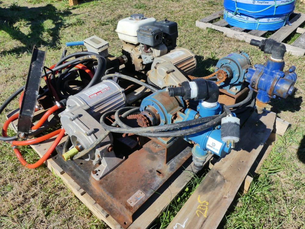 #205 - JOHN BLUE PUMPS | DeMott Auction