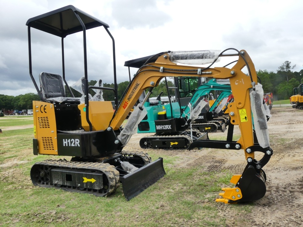 #195 - AGT H12R | DeMott Auction